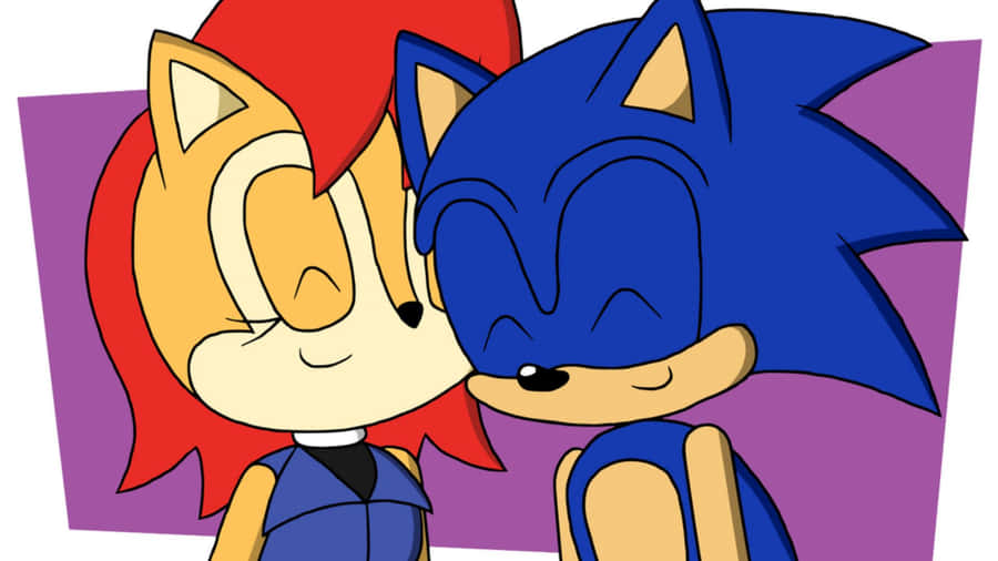 Sonic And Sally - A Powerful Duo Wallpaper | WallpaperMotion.com